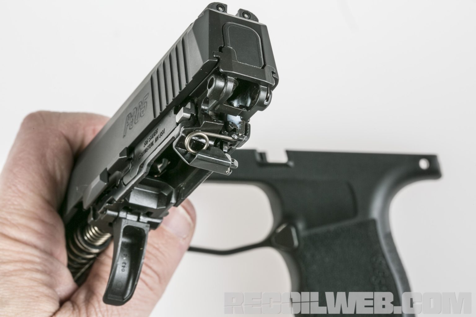 Everyday Carry Review- SIG Sauer's P365 | RECOIL