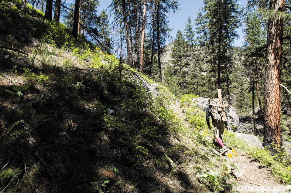 Taking a Bear in the Idaho Wilds | RECOIL