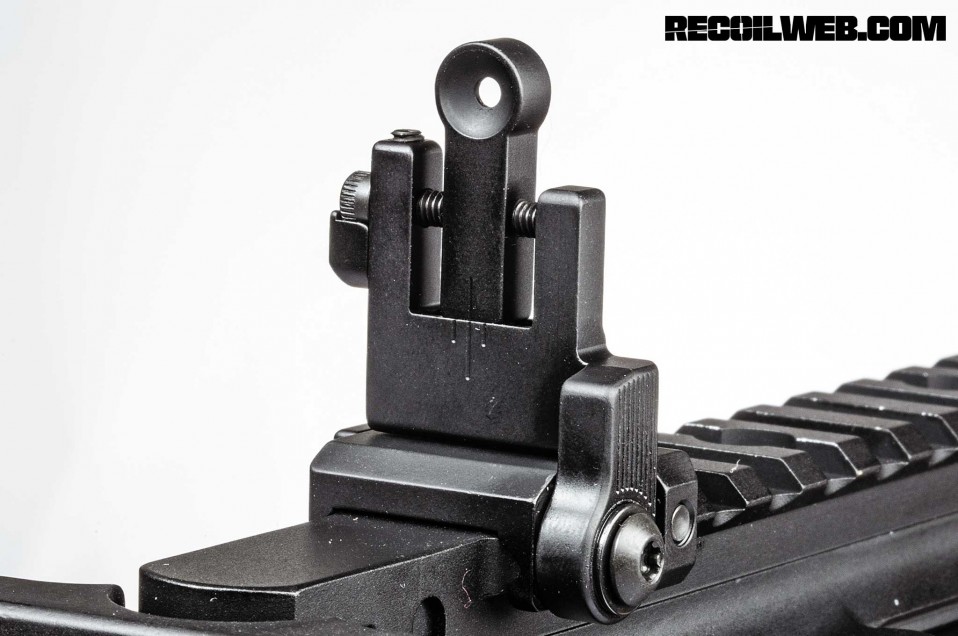 Back-up Iron Sights Buyer's Guide | RECOIL