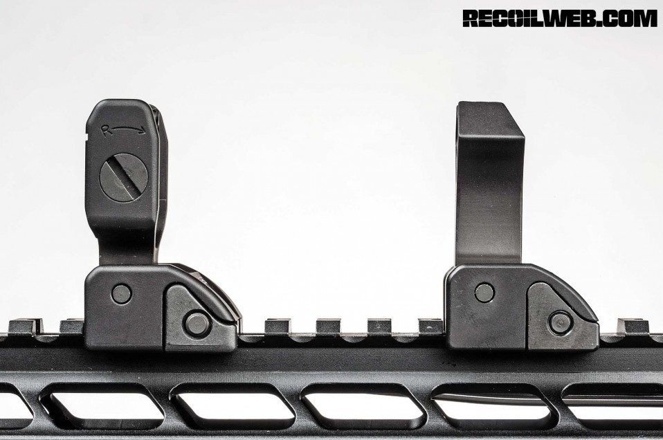 Back-up Iron Sights Buyer's Guide | RECOIL