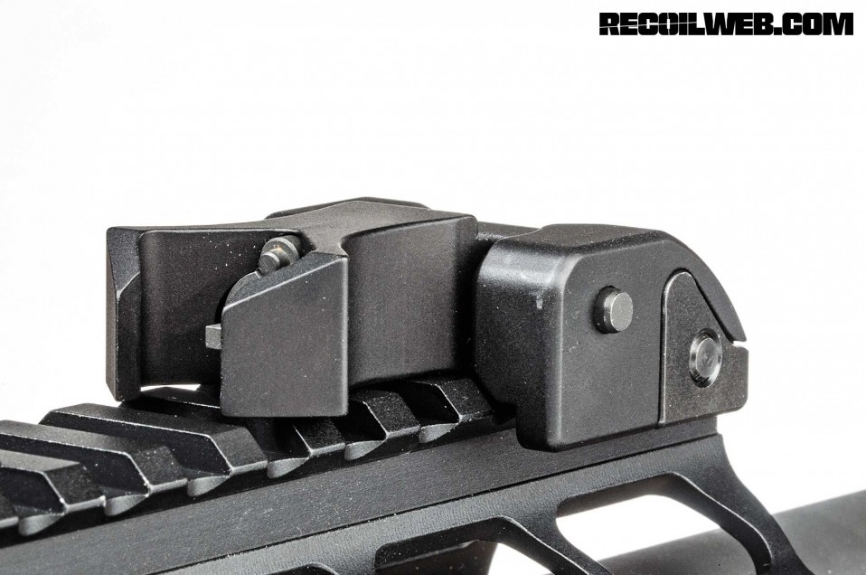 Back-up Iron Sights Buyer's Guide | RECOIL