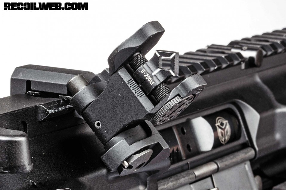 Back-up Iron Sights Buyer's Guide | RECOIL