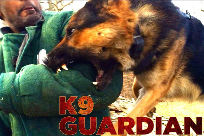 Dog Day Afternoon: K9 Guardians - a documentary | RECOIL