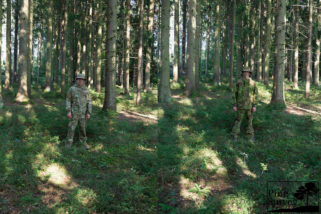 Pine Survey: Greenzone vs MultiCam | RECOIL