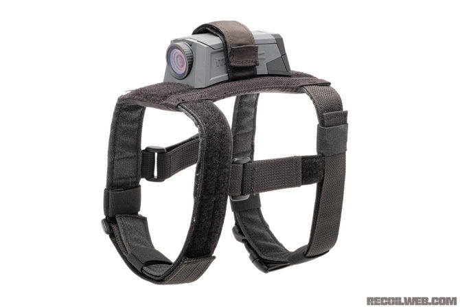 Canine Technology | RECOIL