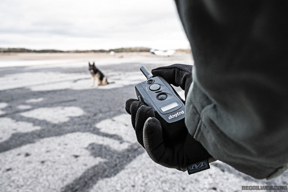 Canine Technology | RECOIL