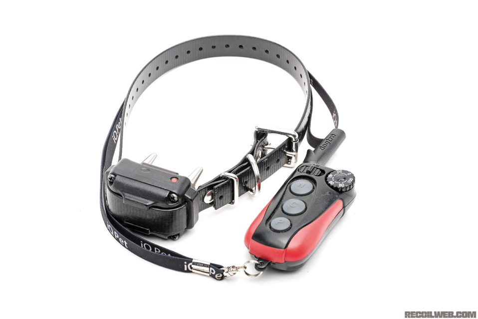 Canine Technology | RECOIL