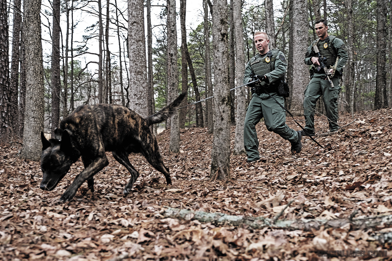 Canine Technology | RECOIL