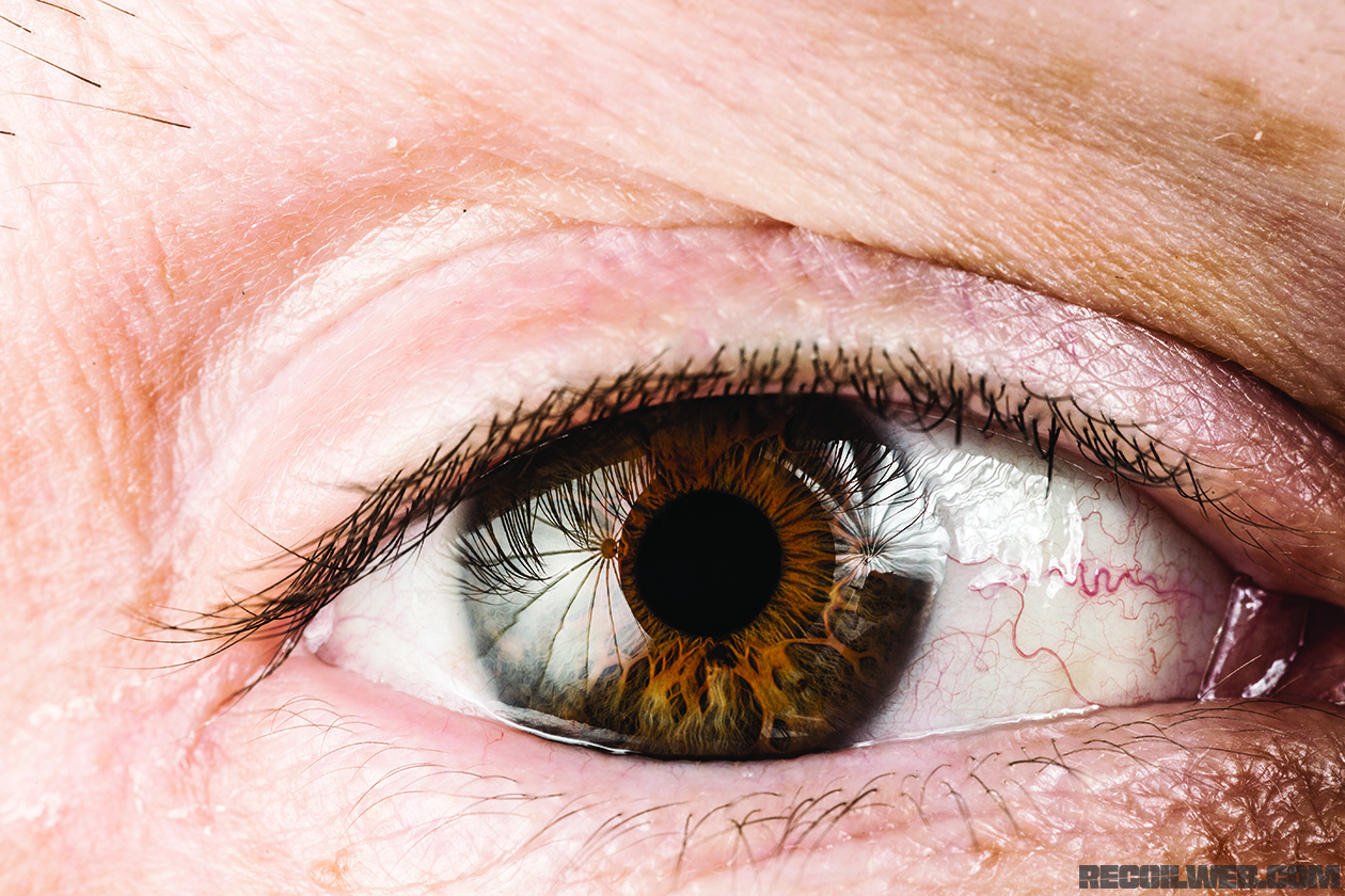 Bore Sight Buyer's Guide | RECOIL