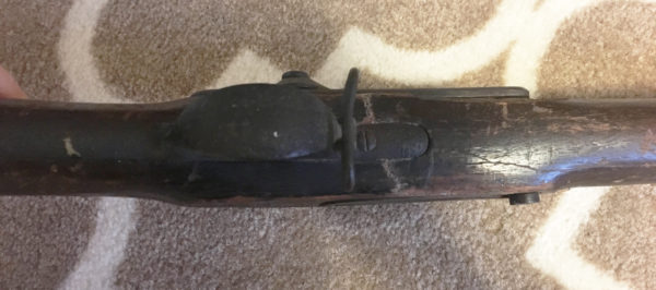 The Ashley Update: A Musket at Thanksgiving | RECOIL