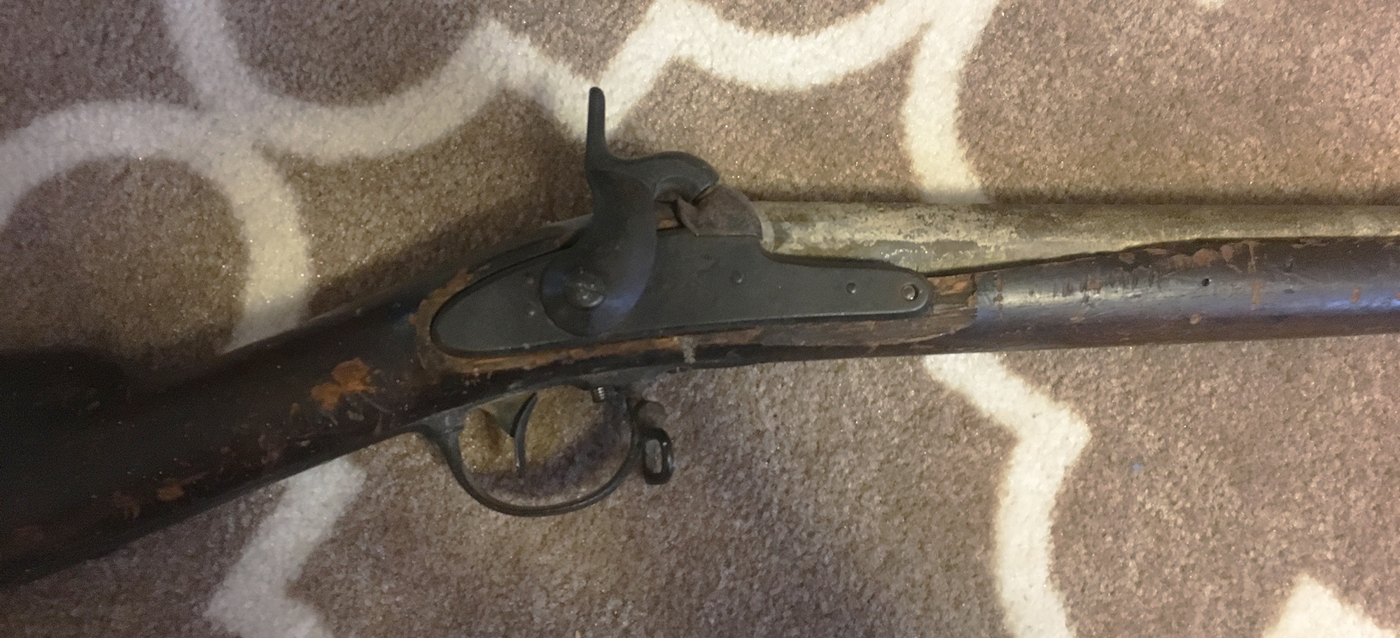 The Ashley Update: A Musket at Thanksgiving | RECOIL