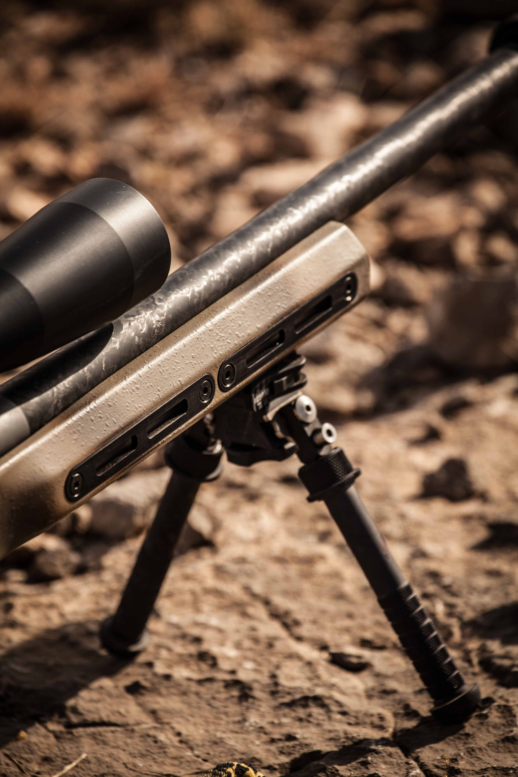 Grayboe Introduces the Ridgeback Stock | RECOIL