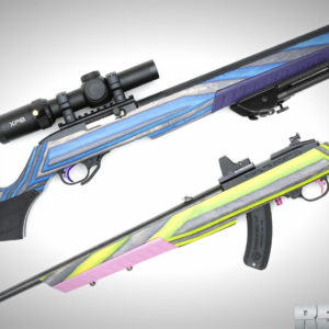 The Family Rifle: We Assemble One Rifle for the Whole Family