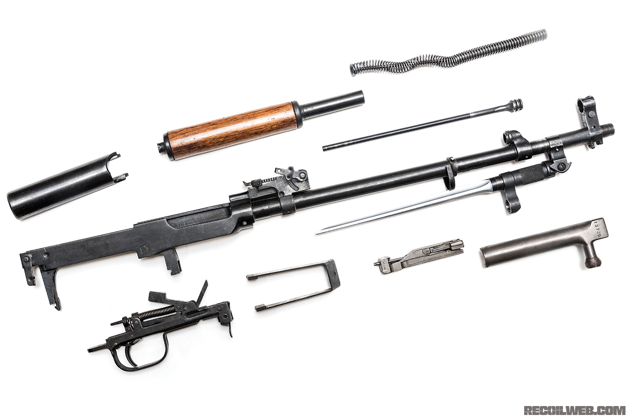 SKS Rifle: The Hottest Cashier at Dollar Tree | RECOIL