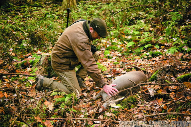 Hunting in Germany | RECOIL