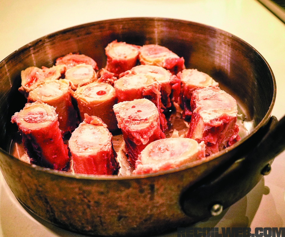 Using the Whole Animal | RECOIL