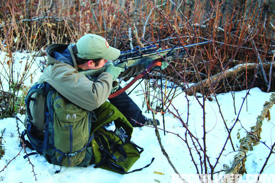 Precision Hunting: Applying Competition Shooting Skills Afield | RECOIL