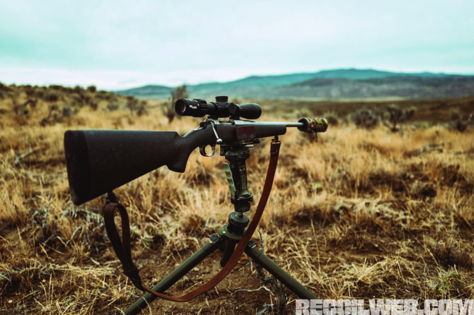 Precision Hunting: Applying Competition Shooting Skills Afield | RECOIL