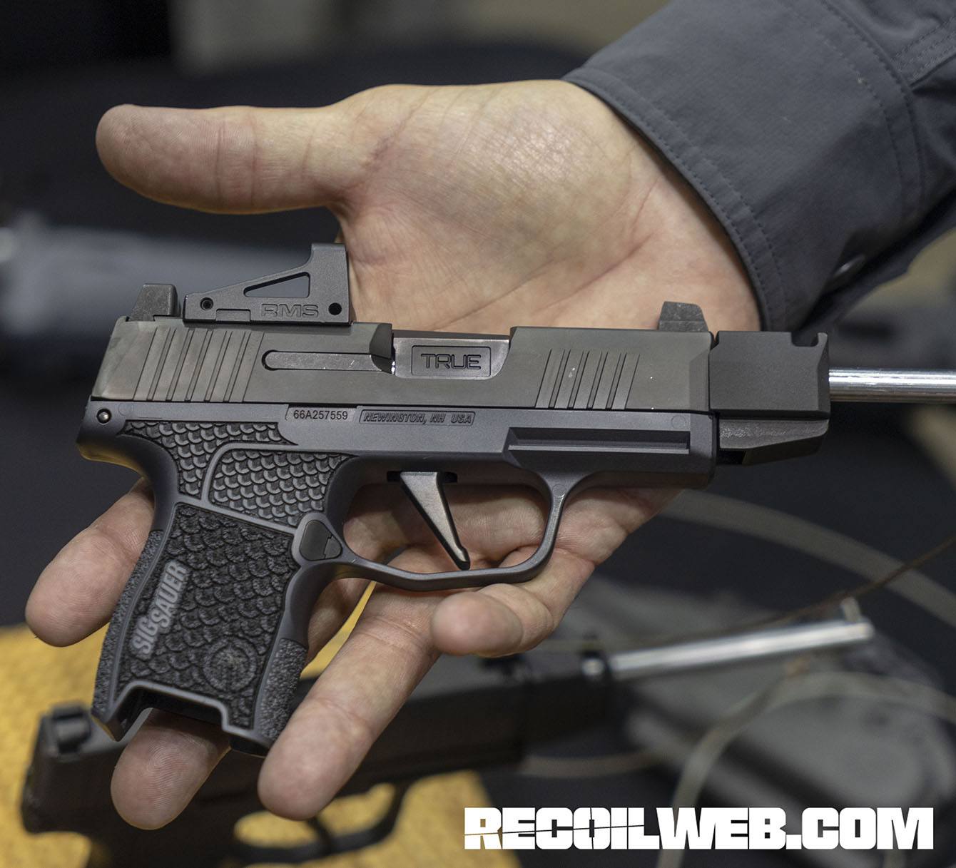 Another Few Shades of Gray | RECOIL