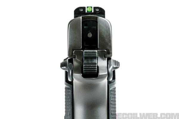 Review: SIG SAUER's Popular P938 Pocket Pistol Gets the High-End Legion ...