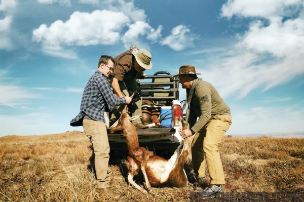 Field to Table with Hunters Care | RECOIL