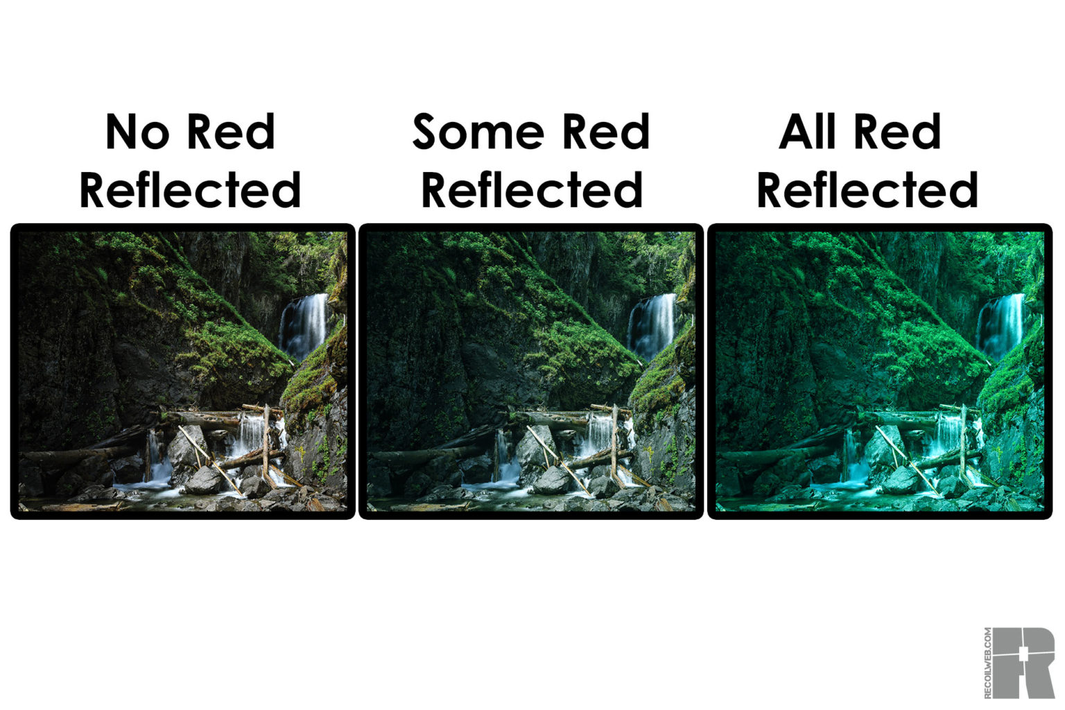 Reflex Sight: Past, Present, and Future | RECOIL