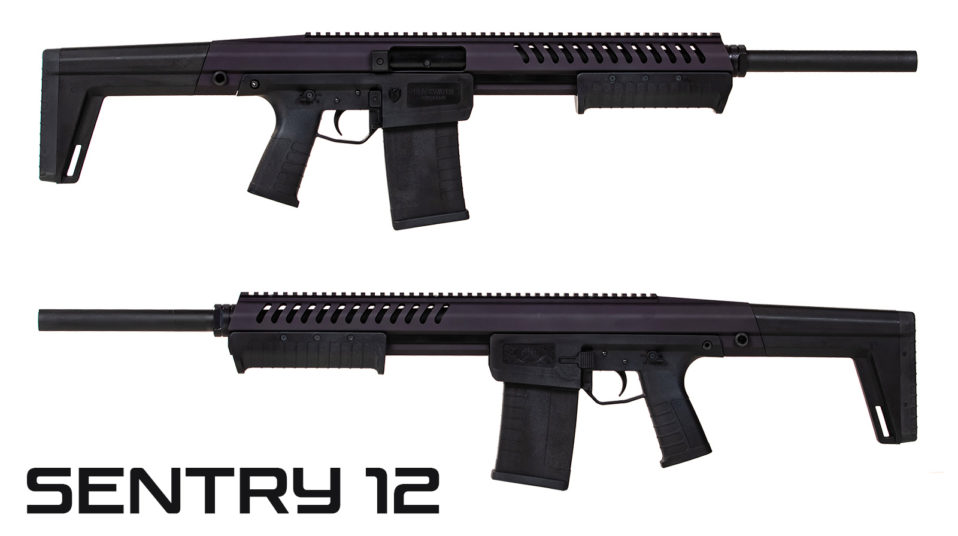 Iron Horse Sentry 12 Enters the Wild | RECOIL