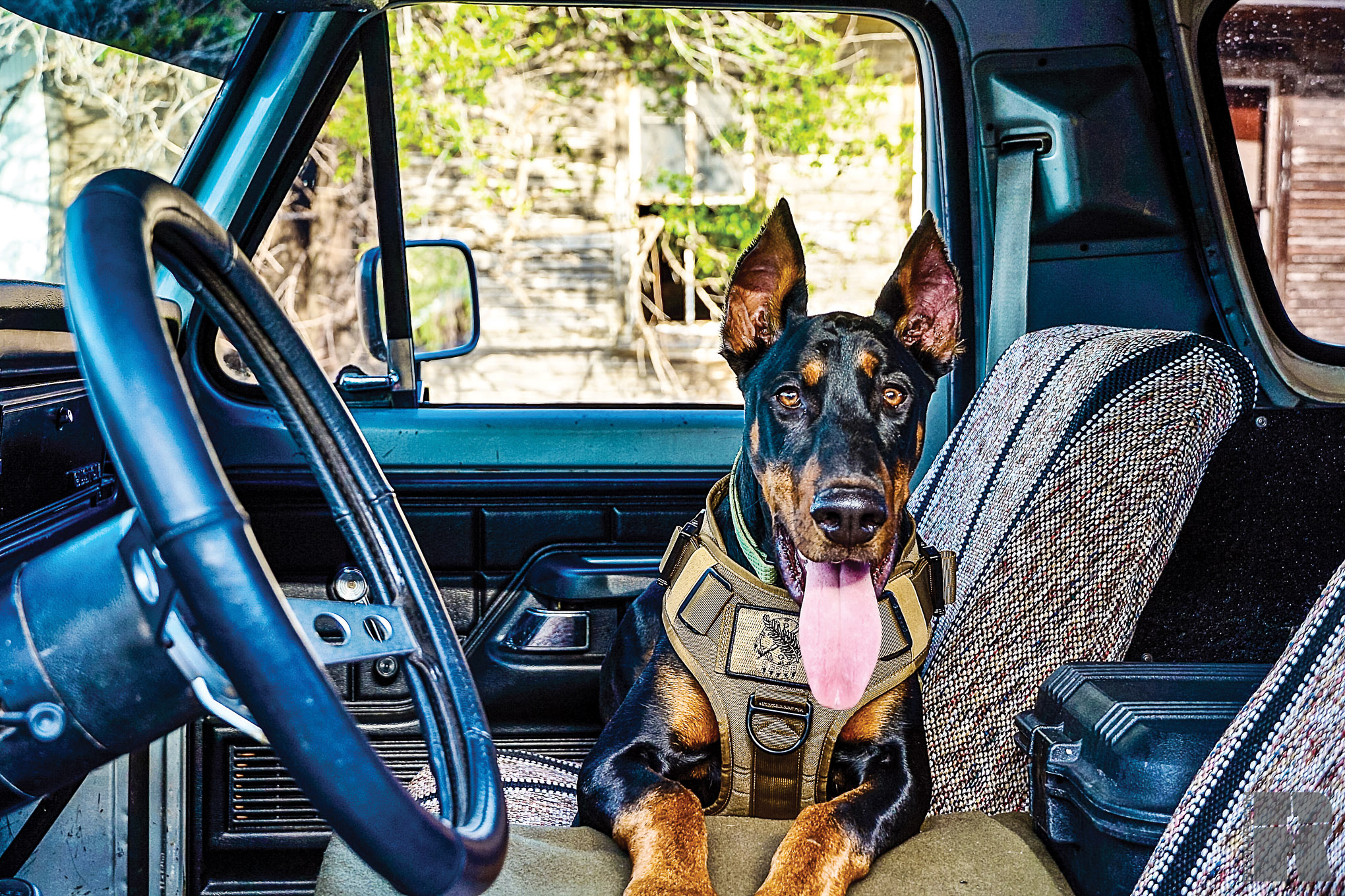 Bug-Out Bronco | RECOIL