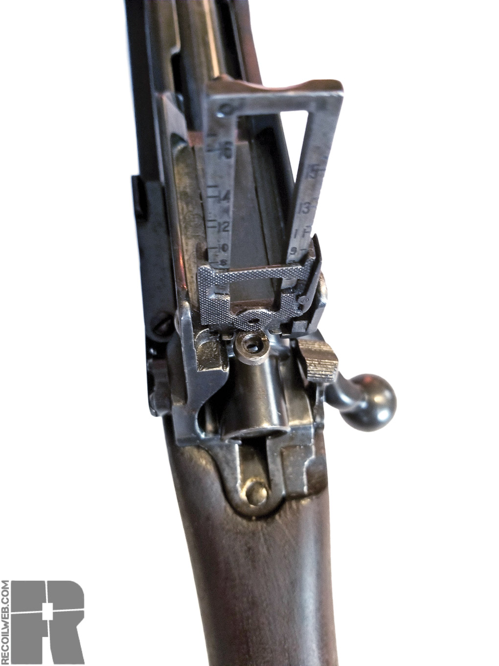 The Forgotten P14 Enfield Rifle | RECOIL
