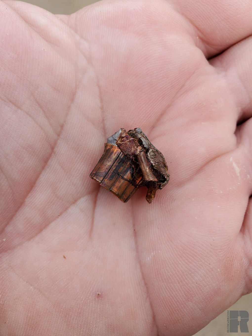 Colt Anaconda: The Last Snake Gun Returns | RECOIL