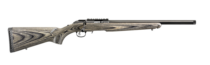 Best .22 Magnum Rifle: Buyer's Guide [2025] | RECOIL