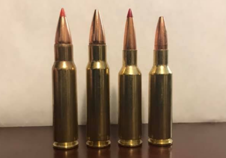 .224 Valkyrie: Long Range From An AR-15 [Complete Guide 2023] | RECOIL