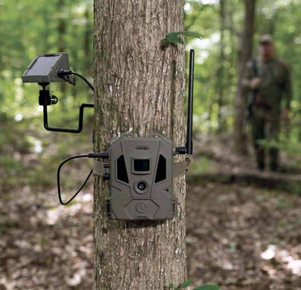 First Look: Bushnell CelluCORE 20 Solar Trail Camera | RECOIL