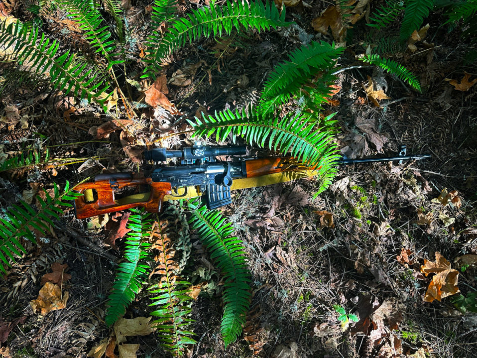 NDM-86: The Chinese Dragon Of Dragunovs | RECOIL