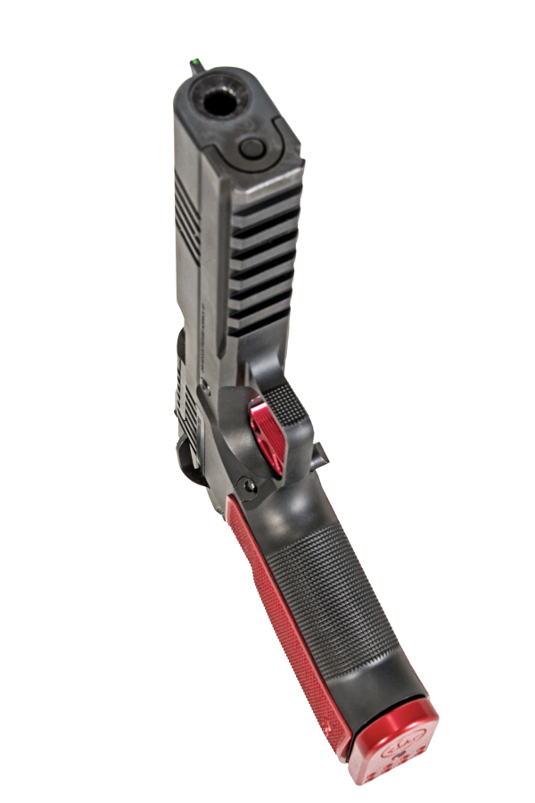 Dan Wesson DWX: The Best Of Two Worlds? [Hands-on Review] | RECOIL