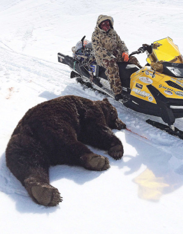 Surviving Bear Attacks: Life-Or-Death Decisions | RECOIL