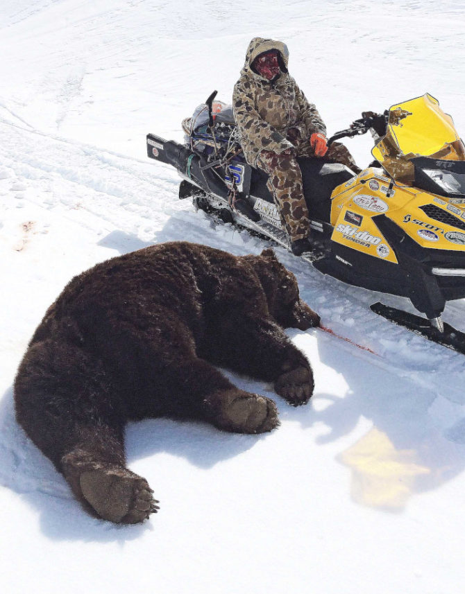 Surviving Bear Attacks: Life-Or-Death Decisions | RECOIL