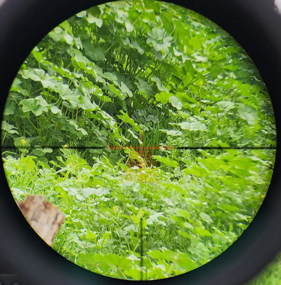 Bushnell Match Pro ED: Best Competition Scope Under $1,000? | RECOIL