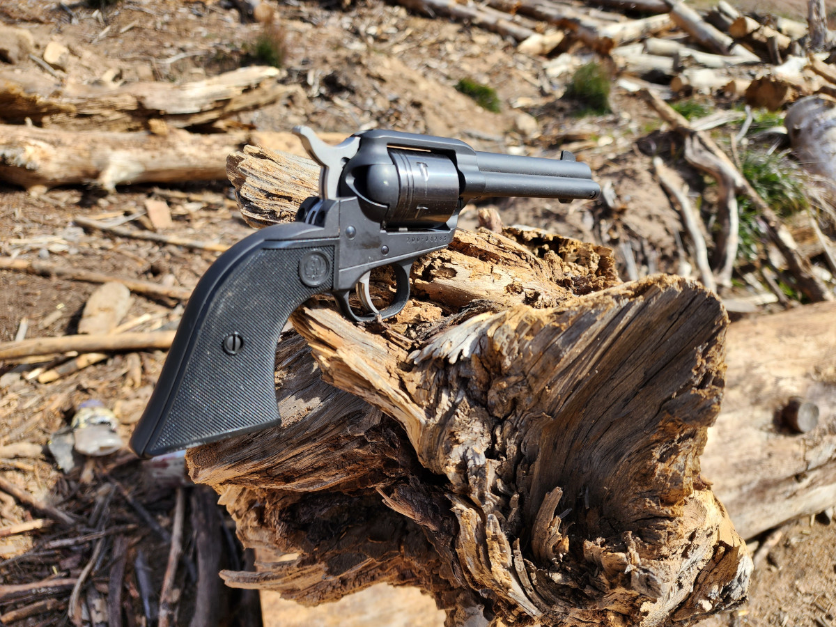 Ruger Wrangler .22 LR Revolver: Best Gun To Teach New Shooters? [Review ...