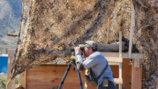 What Is NRL: Hunter? Rules, Stages, And Divisions | RECOIL