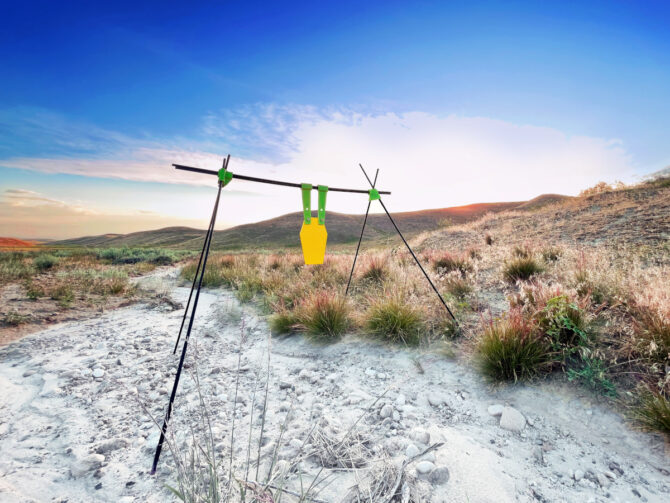 Best Steel Targets & Stands: Summer Time Range Building | RECOIL