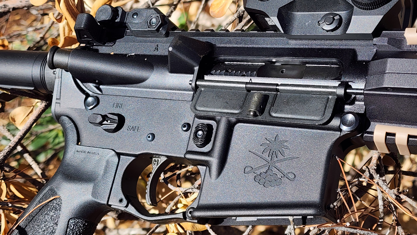 Palmetto State Armory SABRE 10.5-Inch Pistol [Review] | RECOIL