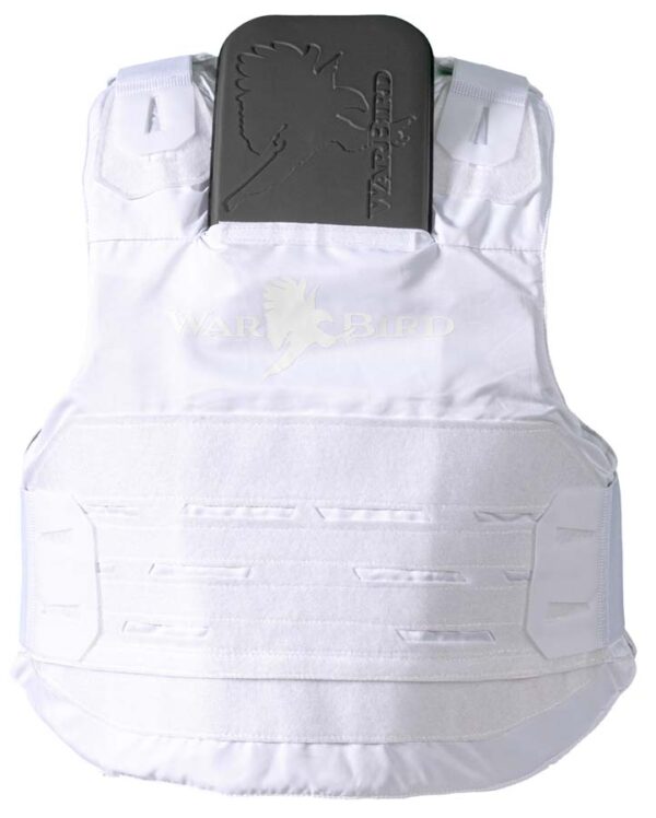 Reasons Civilians Should Own Body Armor: And Why They Should Consider ...