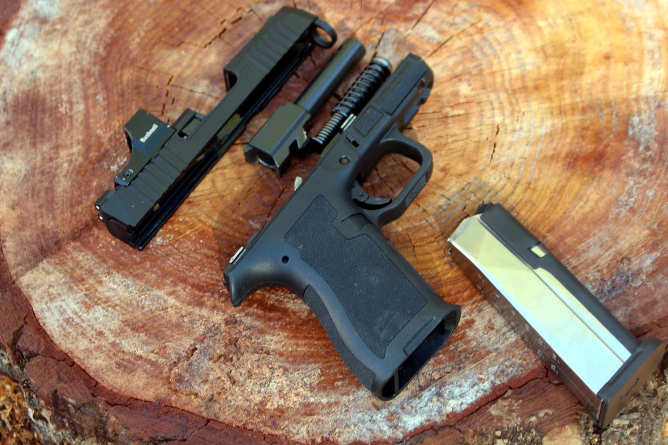 Palmetto State Armory Micro Dagger: Better Than A SIG P365 Or Glock 43x ...